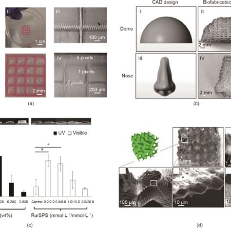 A Hydrogel Patterns Fabricated With Visible Light Induced