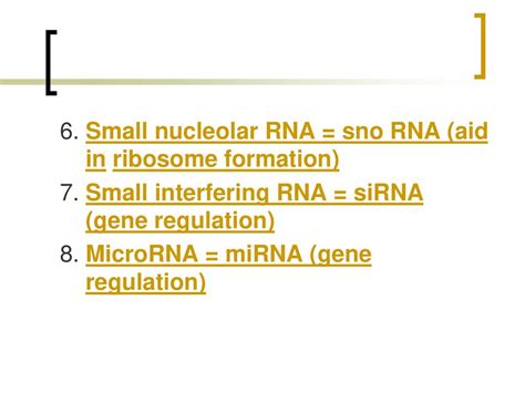 Polypeptide Synthesis Ppt Download