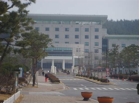 271 지금부턴 정말 공부뿐이야 대학생 중간고사 준비