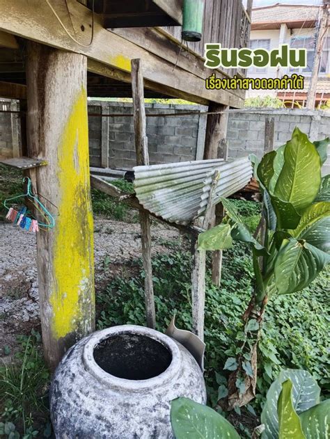 เรื่องเล่าสาวดอกคำใต้ รินรอฝน บ้านไม้ พ ศ 2515 พ่ออุ๊ยน้อย เลิศทอง ม 7 ต ดอนศรีชุม อ ดอกคำใต้