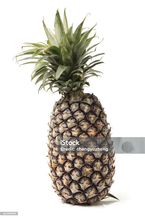 파인애플 잘 익은 신선한 과일 음식 전체 흰색 바탕에 그림자와 0명에 대한 스톡 사진 및 기타 이미지 0명 과일 날것 Istock