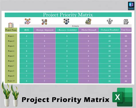 Project Priority Matrix Diirzal