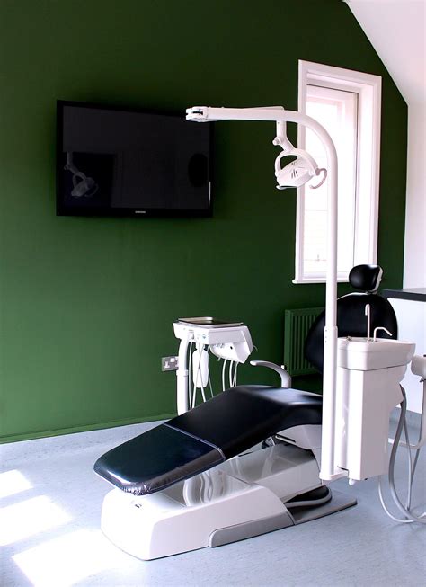 What Do Octopuses Have To Do With Fixing Dentures Art Of Dental Care