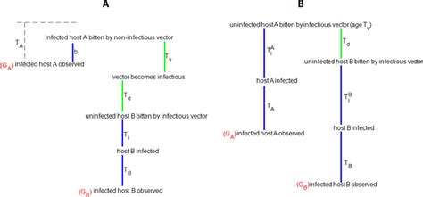 Schematic Representation Of The Stochastic Processes Involved In