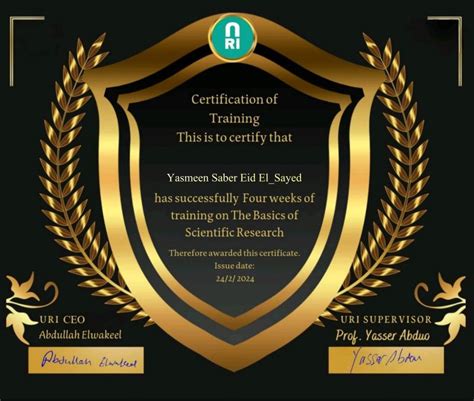 Yasmeen Saber Eid On Linkedin Excited To Announce My Completion Of A Certificate In Basics Of