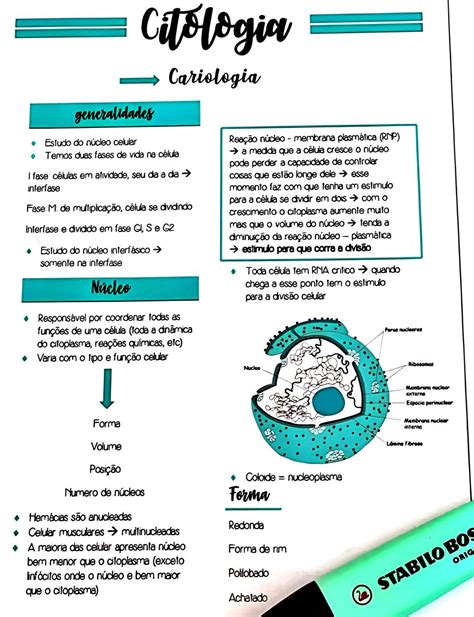 Mapa Mental Sobre Citologia Maps4study Citologia Mapa Mental Mapa