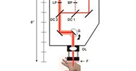 Non Invasive Skin Cancer Screening