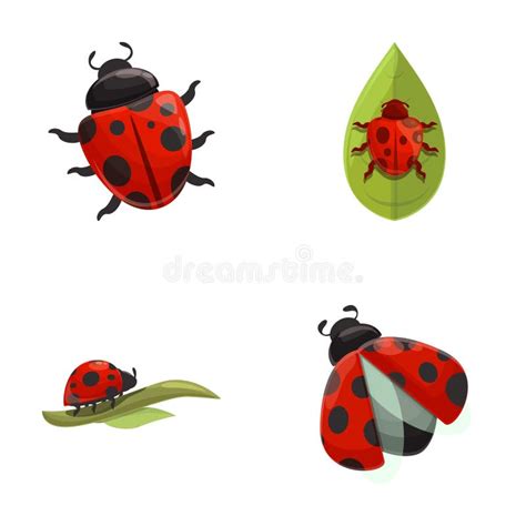 Ladybug Beetle Icons Set Cartoon Vector Cartoon Bright Red Ladybird Stock Vector Illustration