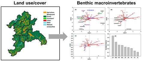 Benthic Macroinvertebrates