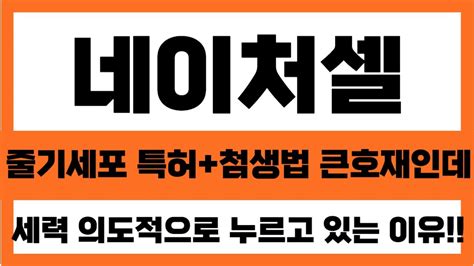 네이처셀 주가분석 줄기세포 특허 첨생법 호재만 나오는데 세력 주가 의도적으로 누르고 있는 이유네이처셀 네이처셀대응 네이처셀주가전망 천프로 Youtube