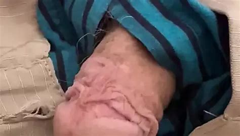 Soldat In Uniform Nach Einer 24 Stündigen Schicht Zeit Einen Meiner Sexspielzeuge Zu Hämmern