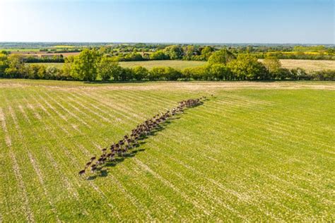 Ivana Sidey On Linkedin Landed Estates