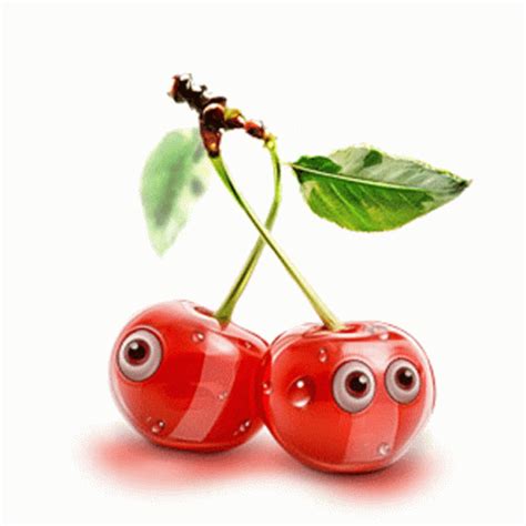 Fruit S