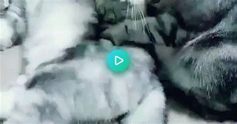 Real Good Massage  On Imgur