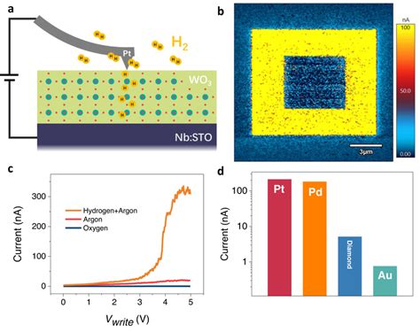 Biased Probe Induced Hydrogenation Into Wo3 Thin Films A Schematic Download Scientific Diagram