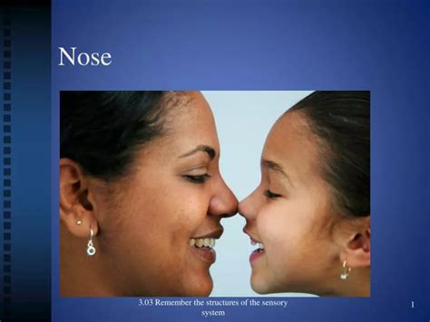 PPT Nose PowerPoint Presentation Free Download ID 2381634