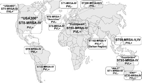 Figure 1 From Molecular Effects Of Staphylococcus Aureus Toxins And Their Contribution To