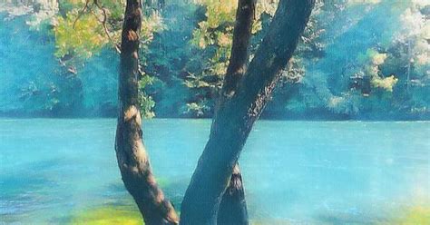 Another Tree Album On Imgur