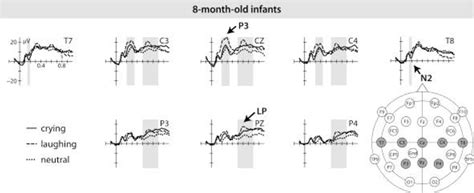 Figure 1 From Neural Correlates Of Infants Sensitivity To Vocal