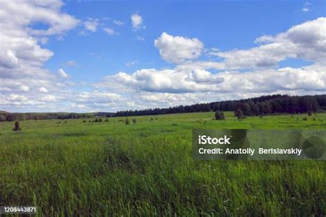 여름 풍경입니다 푸른 하늘과 흰 구름의 배경에 대한 경사면에 필드 잔디와 초원 0명에 대한 스톡 사진 및 기타 이미지 0명 경관 계절 Istock