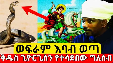 🔴ከሆዴ ውስጥ ወፍራም እባብ ወጣ ሰማዕቱ ቅዱስ ጊዮርጊስን የተሳደበው ግለሰብ ኦርቶዶክስ Viral Video Youtube