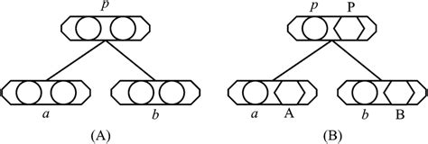 A The Structure Of The Recursive Neural Network Model Where Each Download Scientific