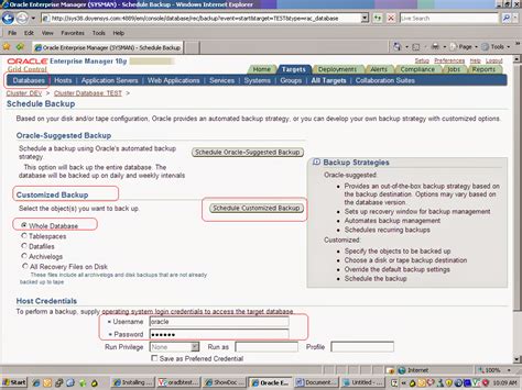 Sujeet Apps Dba Rman Scripts