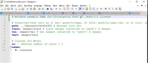 From Scratch Tutorial On Ai Object Detection Wildlabs