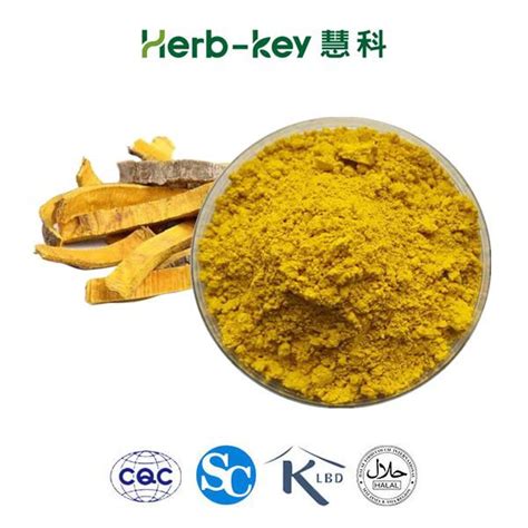 Cortex Phellodendri Extract Phellodendron Bark Extract Powder Berbamine Hclberbamine