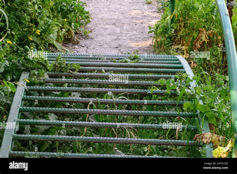 Cattle Grid On A Rural Foot Path Hiking Path Photographed The Upper Galilee Israel Stock