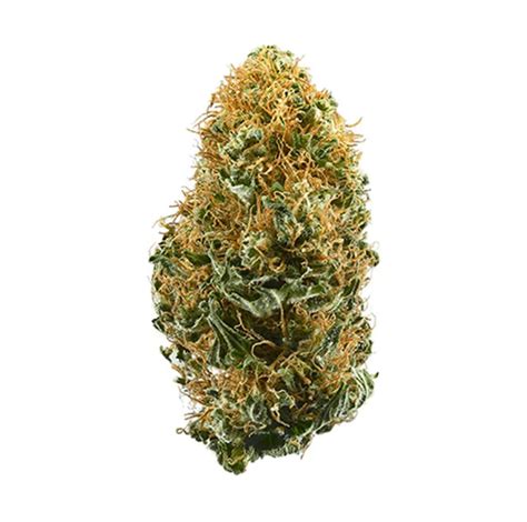 Buy White Widow Weed Strain Australia From Your 1 Best Store Order