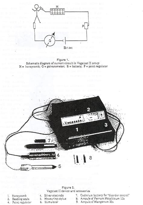 Figure 2 From Testing With Serial Dilution End Point Titration And Skin Prick Tests For