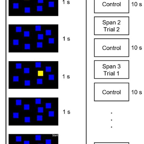 flow diagram displaying a a trial with span level 2 in the visual