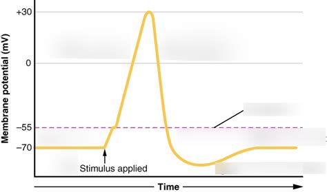 Sem 2 Unit 1 Goal C Diagram Quizlet
