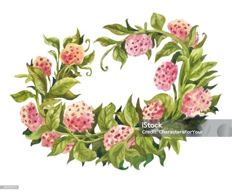 특이 한 타원형 꽃 프레임입니다 여름 휴가 또는 디자인 웨딩 장식 요소입니다 흰색 바탕에 수채화 그림 0명에 대한 스톡 벡터 아트 및 기타 이미지 Istock