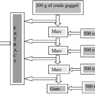 Flow Chart Representing Extraction Of Resin Download Scientific Diagram