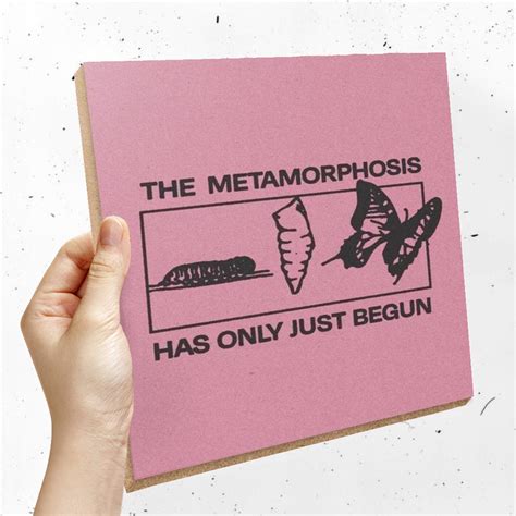 Quadrinho The Metamorphosis Has Only Just Begun Shopee Brasil