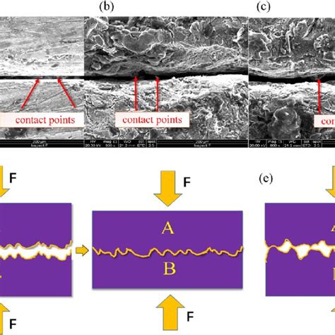 Pdf Effect Of Surfaces Similarity On Contact Resistance Of Fractal Rough Surfaces Under Cyclic