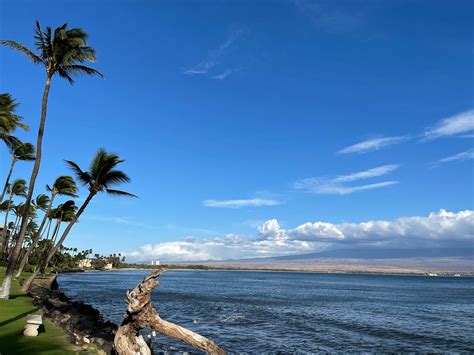 developing interactive and insightful dashboards with spark and plotly