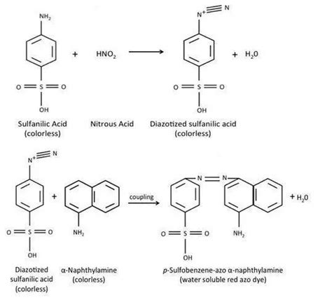 Nitrate Reduction Test Principle Procedure Results • Microbe Online