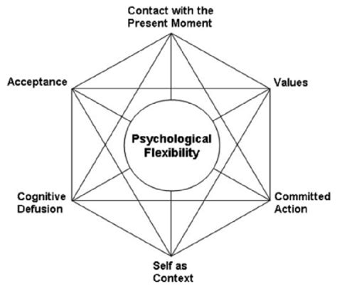 A Model Of The Act Hexaflex With Psychological Flexibility In The