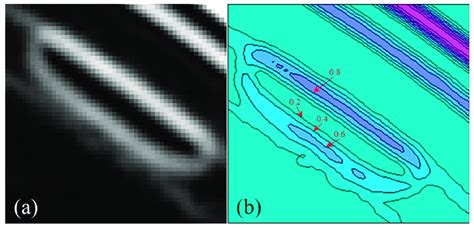 Contour Image Of Type I Edge Gray Level Distribution A The Type I Download Scientific