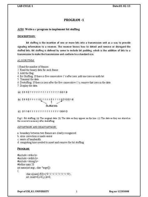 Program 1 Aim Write A C Program To Implement Bit Stuffing D Pdf