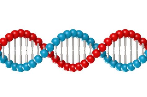 Premium Photo Dna Model With Blue And Red Elements
