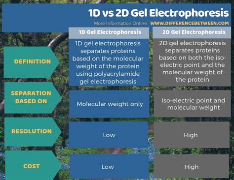 Difference Between 1d And 2d Gel Electrophoresis Compare The