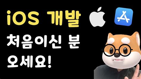 iOS 개발 처음이세요 그럼 들어오세요 초보를 위한 기초개념 정복 YouTube