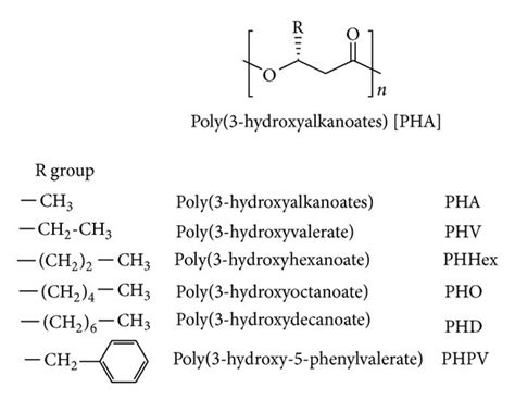 General Structure Of Polyhydroxyalkanoates Phas And Examples Of Their Download Scientific