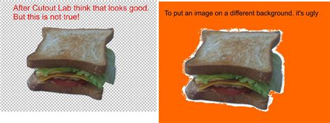 Need Advice On The Selected Object Corel PHOTO PAINT X CorelDRAW Graphics Suite X