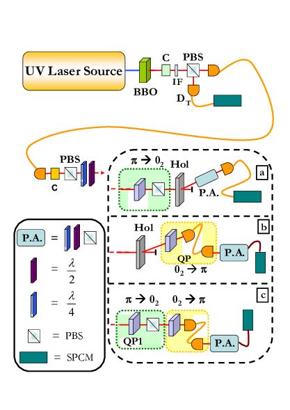 Experimental Setup The Output Signals Of The Single Photon Counter