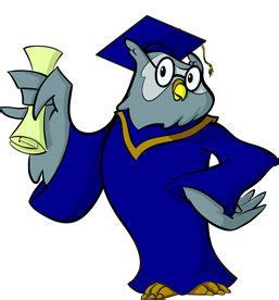 Wgu Help Us Name Wgus New Mascot Online University Wgu Teachers